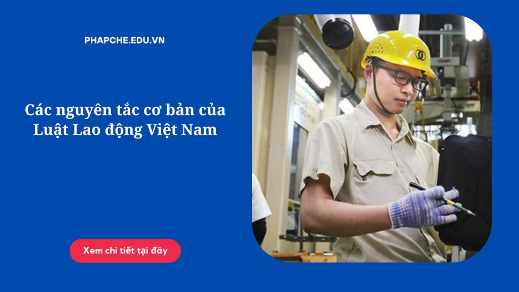 Các nguyên tắc cơ bản của Luật Lao động Việt Nam