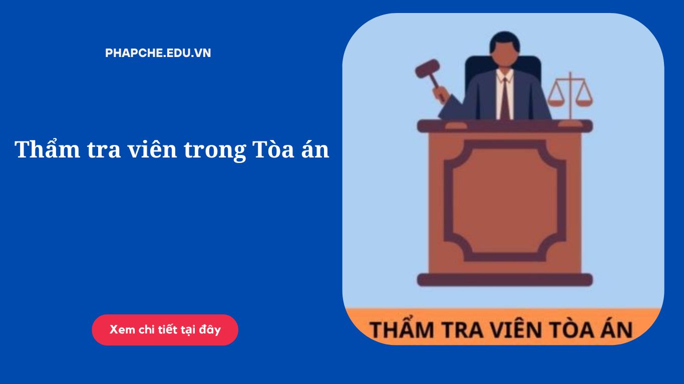 Thẩm tra viên trong Tòa án: Chức năng, Tiêu chuẩn & Lộ trình phát triển